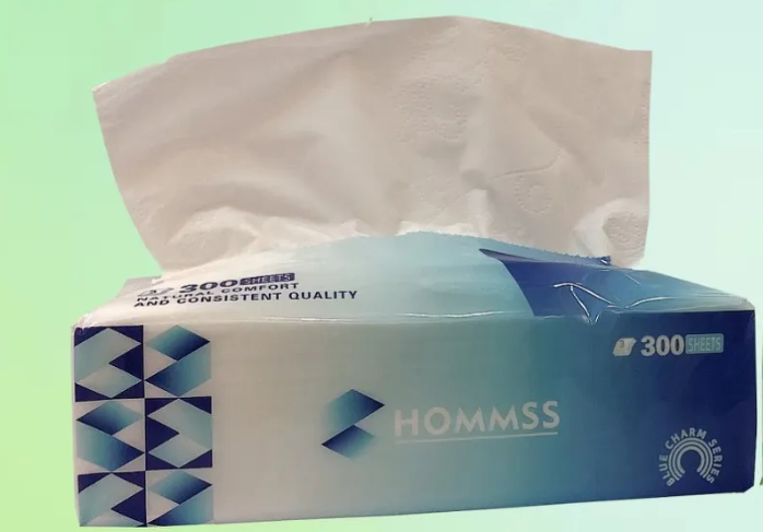 Hommss Facial Tissue 100% Wood Pulp 12pcs/pack 300 sheets / 10pcs/pack ...