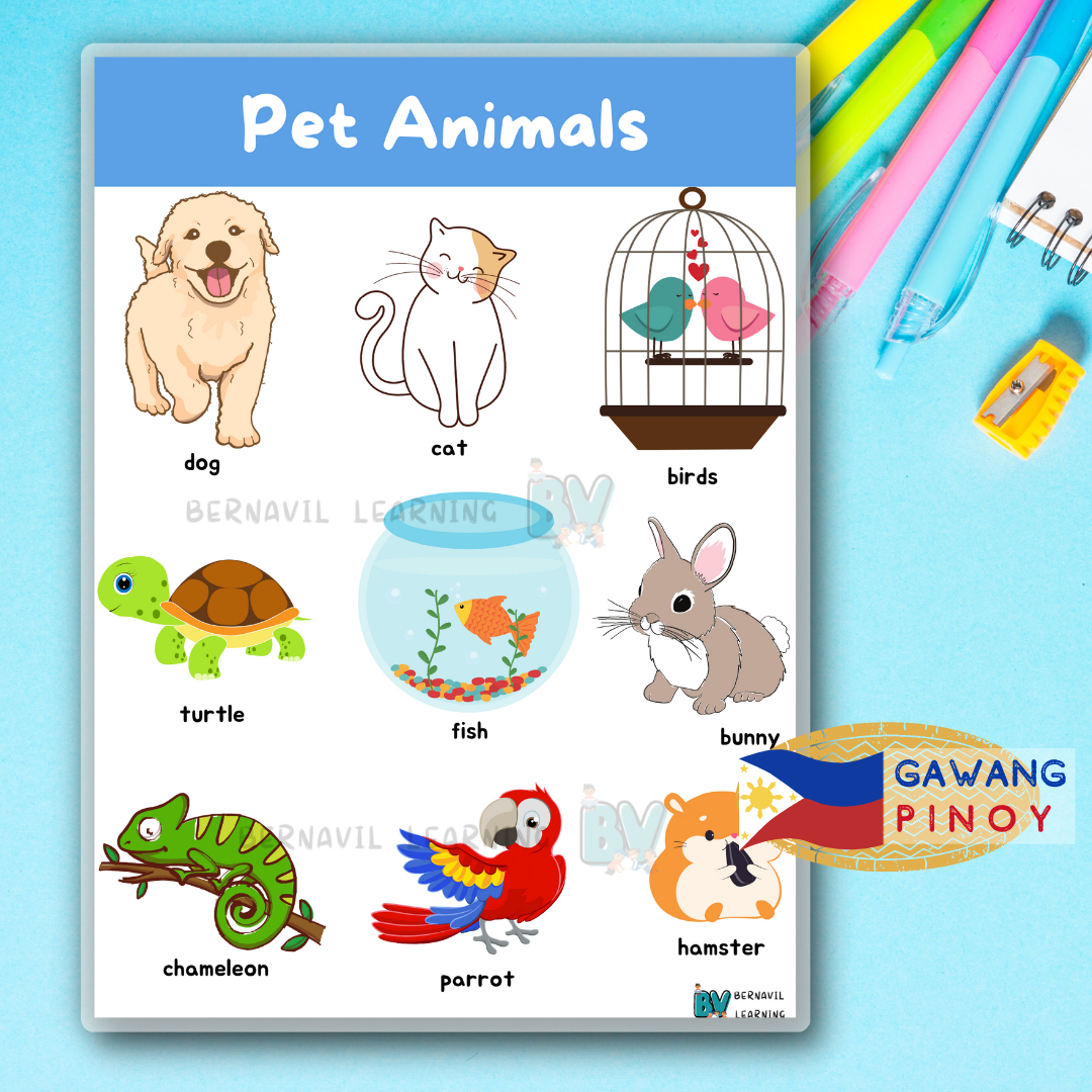 Animals Chart | Laminated Educational Chart | Pet, Farm, Wild, Marine ...