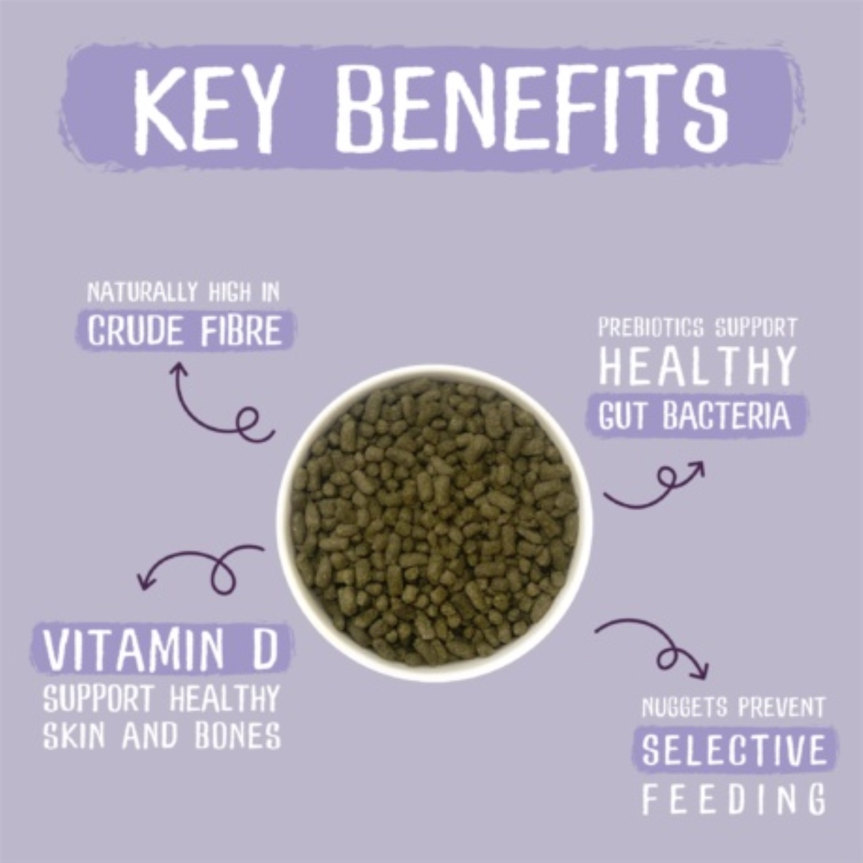 Burgess Excel Nuggets Rabbit Pellets Food | Lazada PH