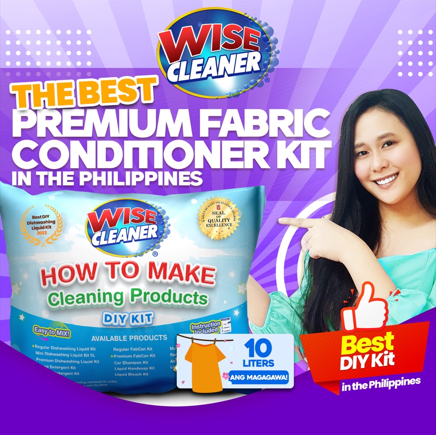 PREMIUM FABCON DIY KIT - WISE CLEANER | Lazada PH
