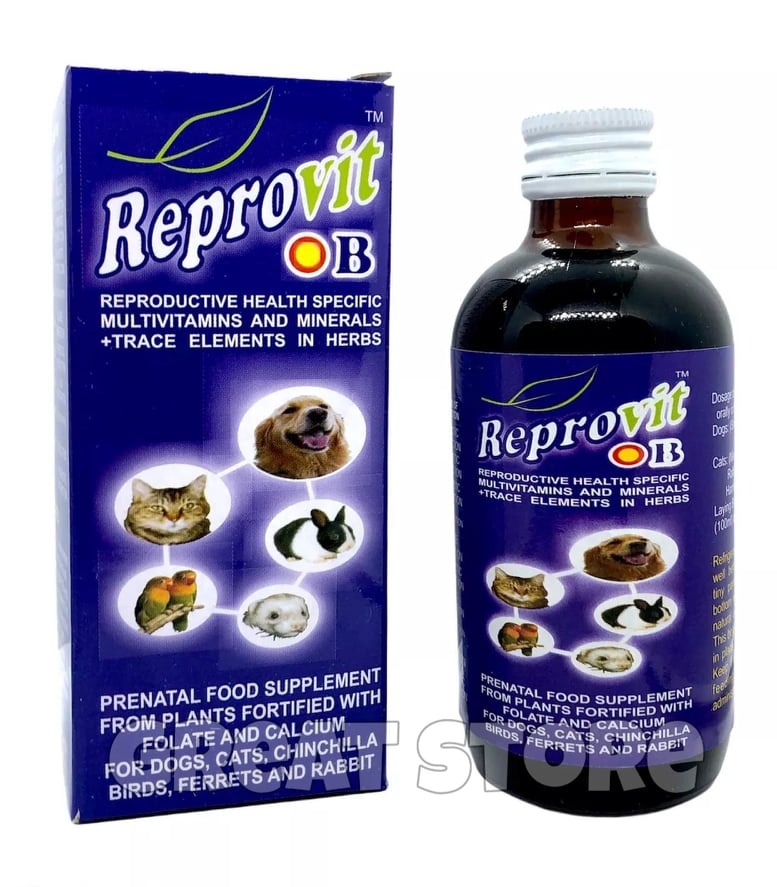 Can My Female Dog Take Prenatal Vitamins