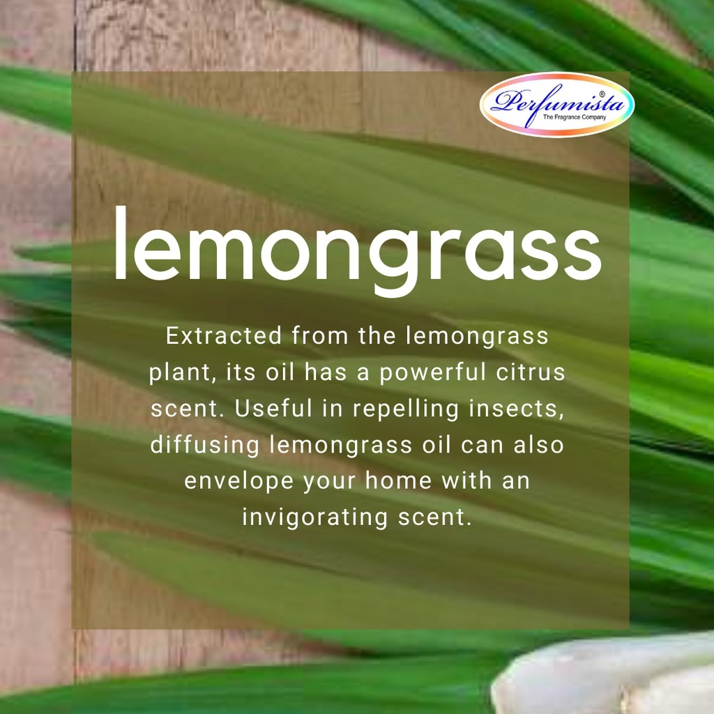 Perfumista Fragrance Oil for Reed Diffuser 100ml Refill | Lazada PH