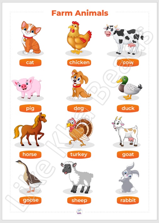 Laminated Big chart Farm Animals Educational Chart for kids, Laminated ...
