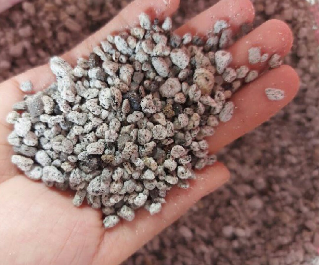 High quality Pumice Stone ( Monggo Size ) for your lovely plants 1kilo ...