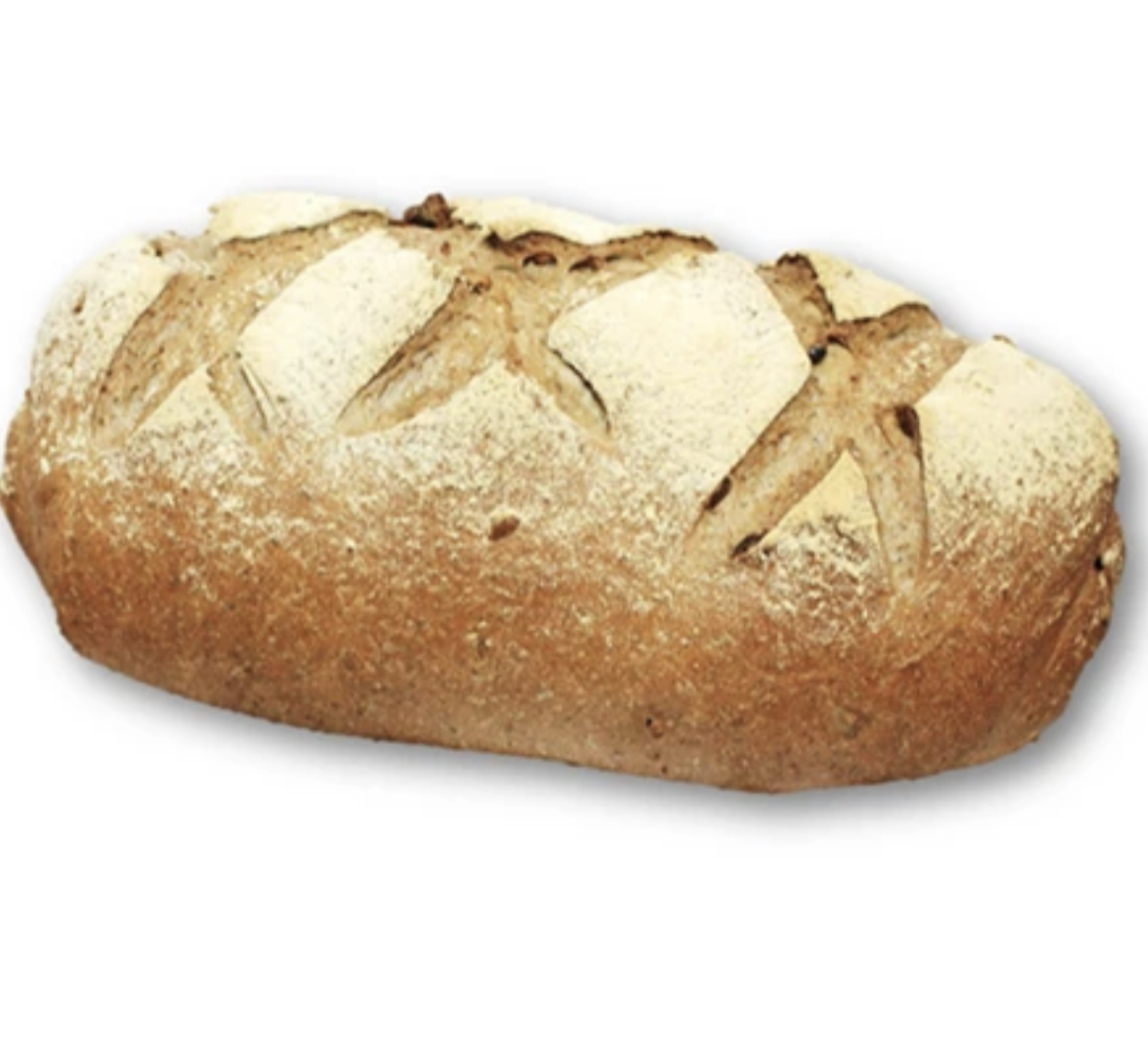 Walnut Wholewheat Artisan Bread Loaf - 600g approximately | Lazada PH