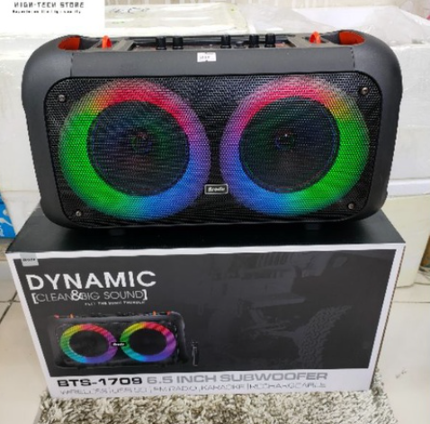 Brodu Subwoofer Bluetooth karaoke speaker BTS 1709 | Lazada PH