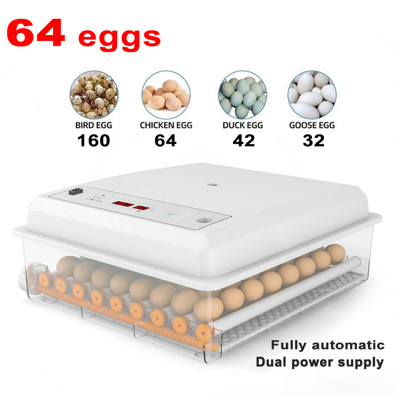 Intelligent fully automatic egg incubator 12/16/30/36/64/120 Egg ...