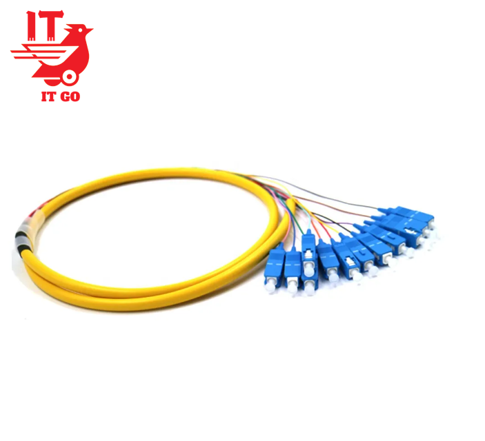 IT GO 12 Core Ribbon Patch Cord Sc Lc Fc St Apc Upc 9mm Connector Pc ...