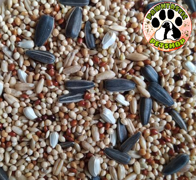 Bird Seed Mix [African Mix] 1kilo | Lazada PH