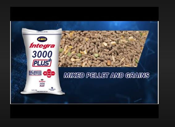 B-MEG INTEGRA 3000 with immuno boosters 5.0 B-MEG INTEGRA WITH IMMUNO ...