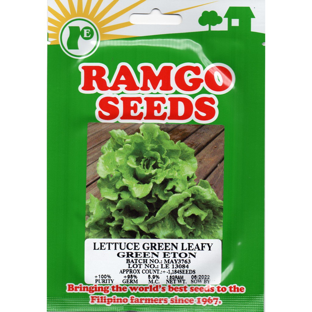 Ramgo RPD Seeds Lettuce Green Leafy Green Eton 1.6g (ORIGINAL PACK ...