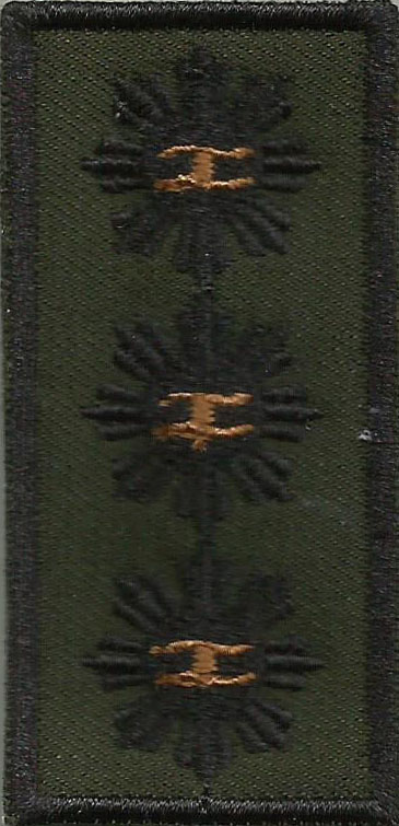 RANKS INSIGNIA ( PHILARPAT ) FOR OFFICIALS OD WITH VELCRO | Lazada PH