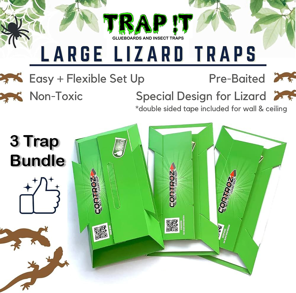 Trap It - Large Lizard Trap Glue Trap | Sticky Trap | 3 pcs./pack ...