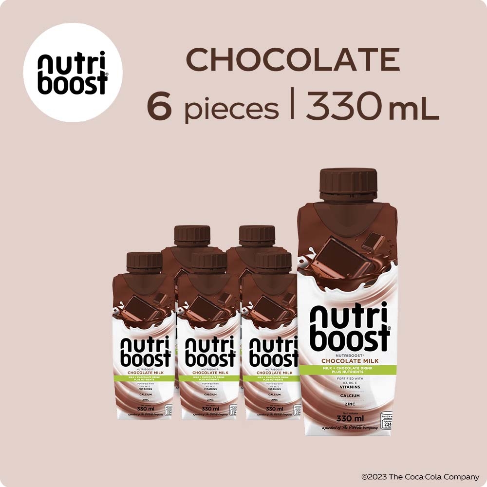 Nutriboost Chocolate 330mL - Pack of 6 | Lazada PH