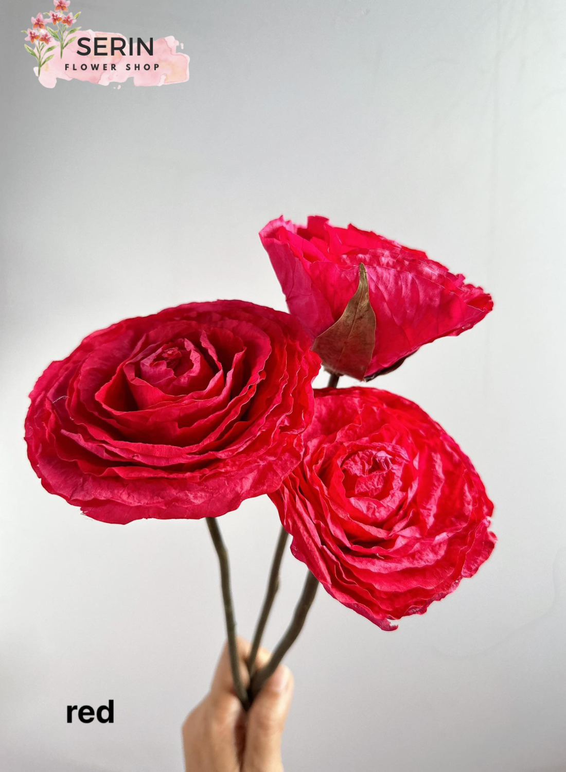 Dried FOSSILIZED ROSE per pc Flowers Roses DRIED FLOWER BAZAAR | Lazada PH