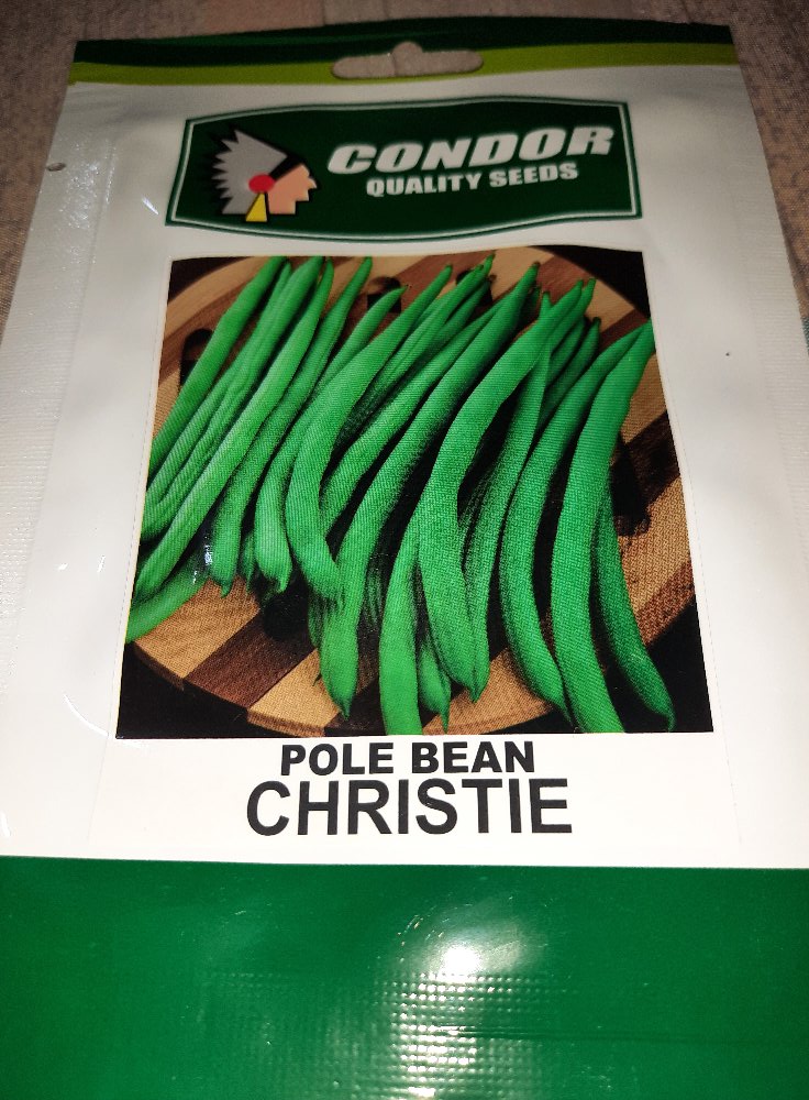 pole bean / baguio beans / pole bean christie - 10grams - Condor seeds ...