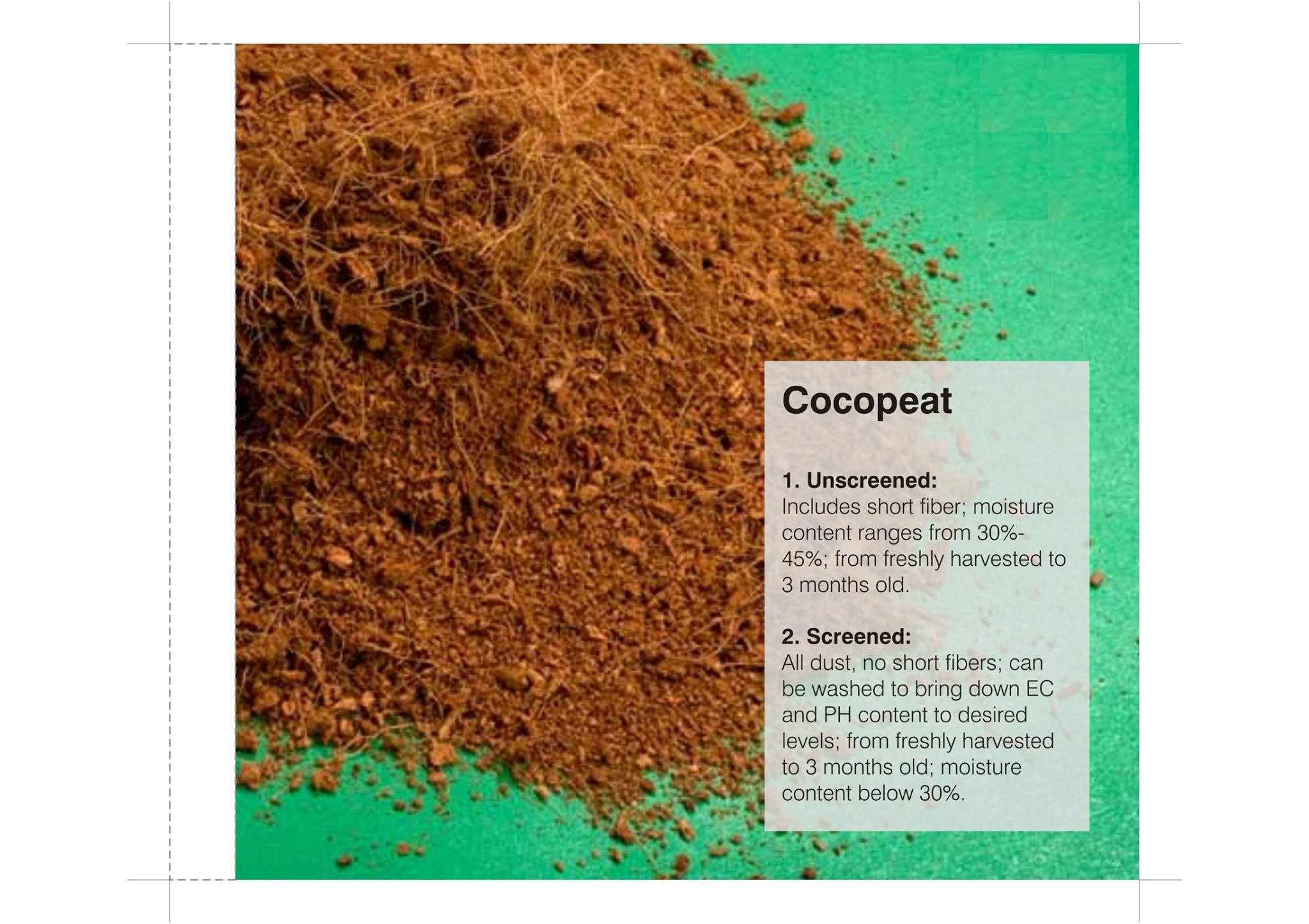 Coco Peat 100% Organic Screened/Unscreened 200G | Lazada PH