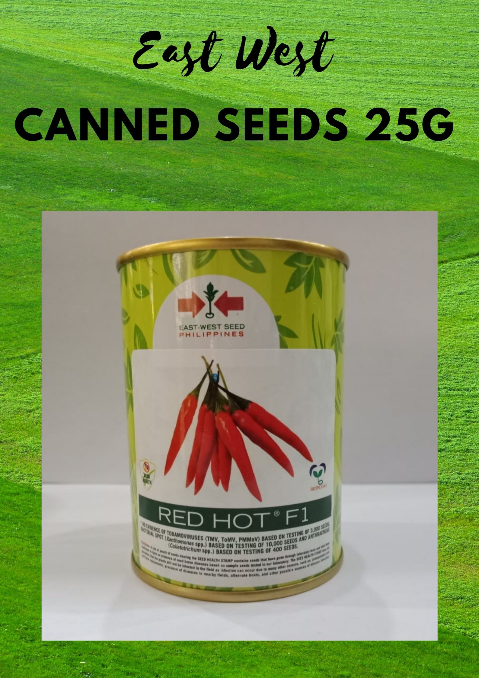 East West EASTWEST Canned Seeds DIAMANTE MAX F1, SWEET HARMONY F1, RED ...