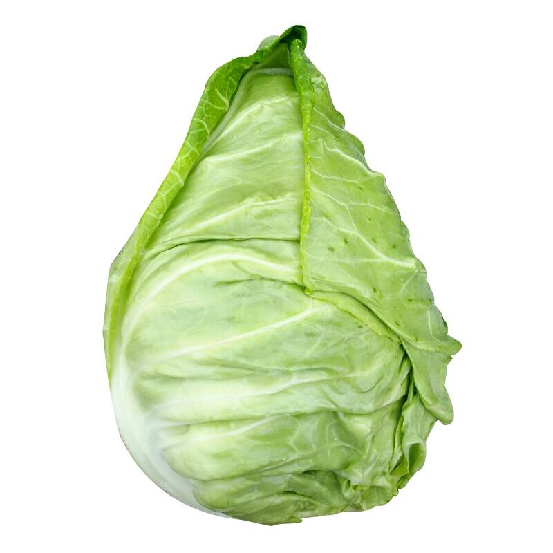 Beef Green Cabbage Repolyo Vegetable Seeds 50 seeds (not plants) | Lazada