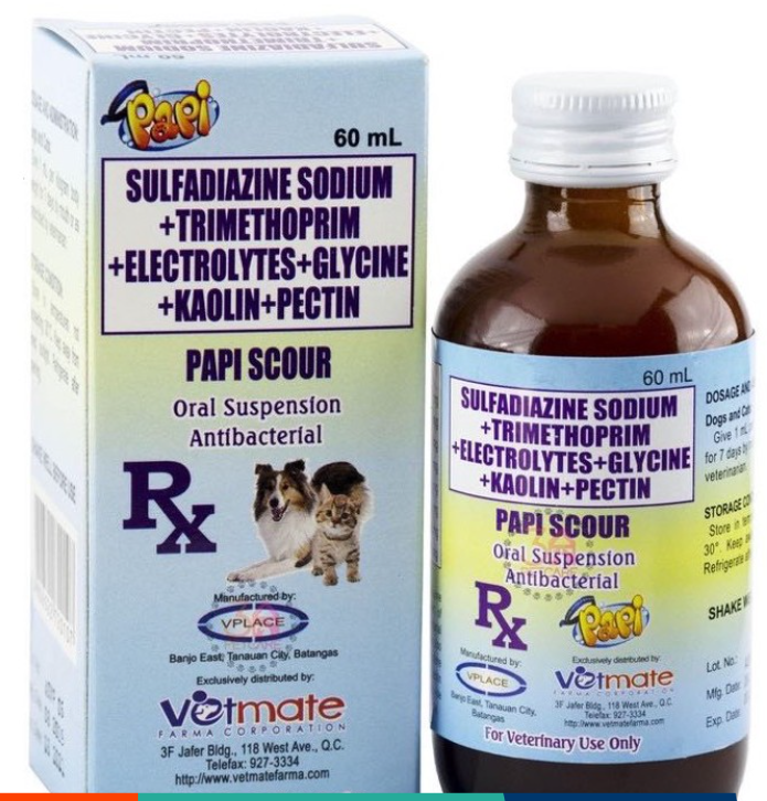 PAPI SCOUR FOR DOGS AND CATS 60ml Anti-Diarrhea for Pets | Lazada PH