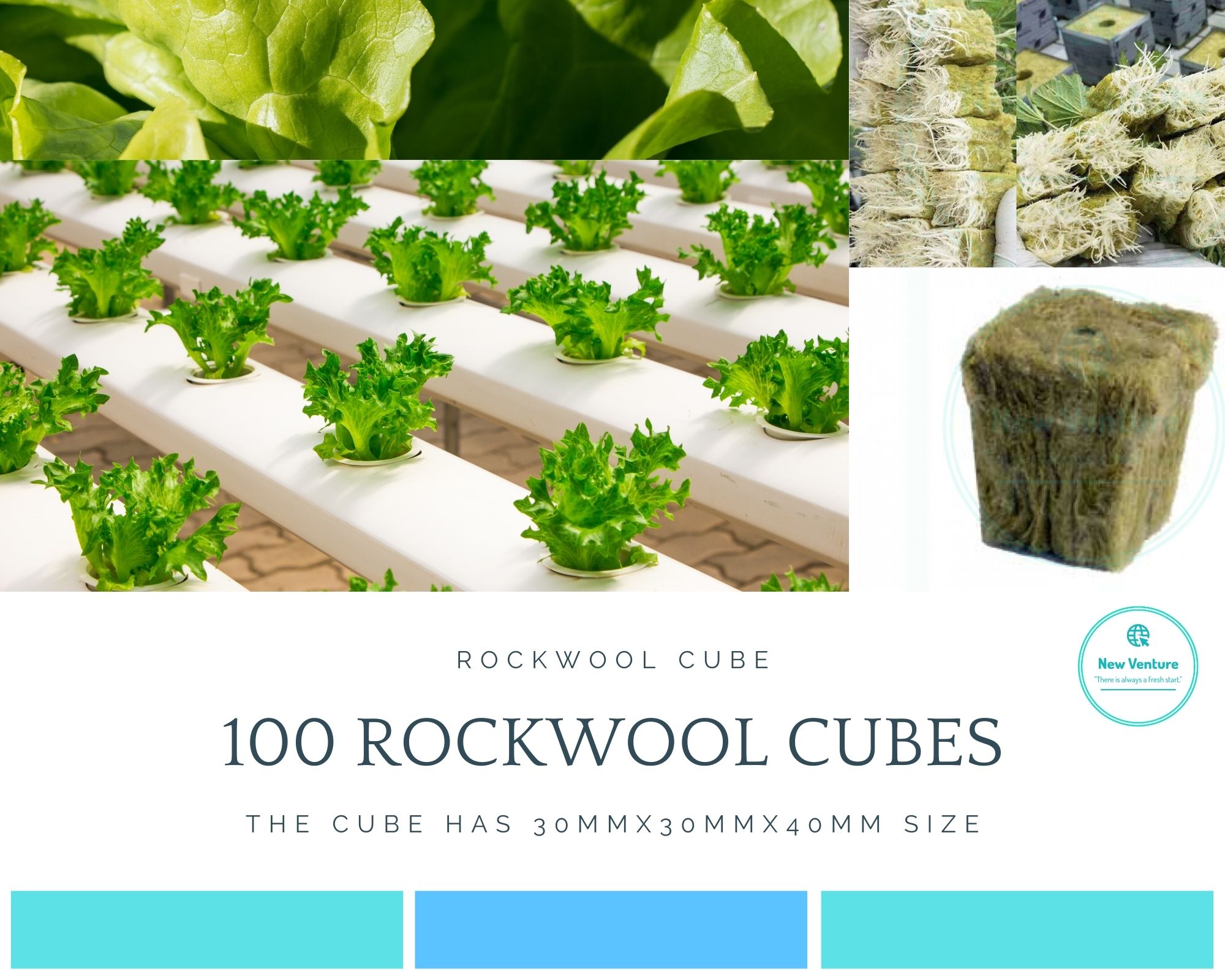 Rockwool Cubes for Hydroponic Soilless Planting Pack of 100 ...