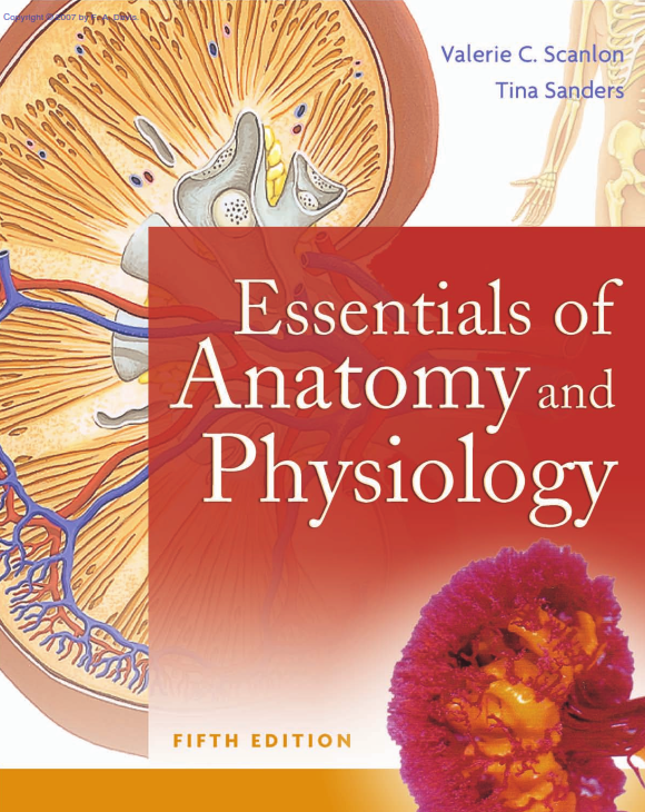 ESSENTIALS OF ANATOMY AND PHYSIOLOGY fifth edition | Lazada PH