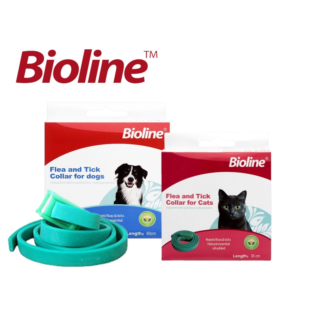 Reptiles house Bioline Flea and Tick Collar for Dogs and Cats | Lazada PH