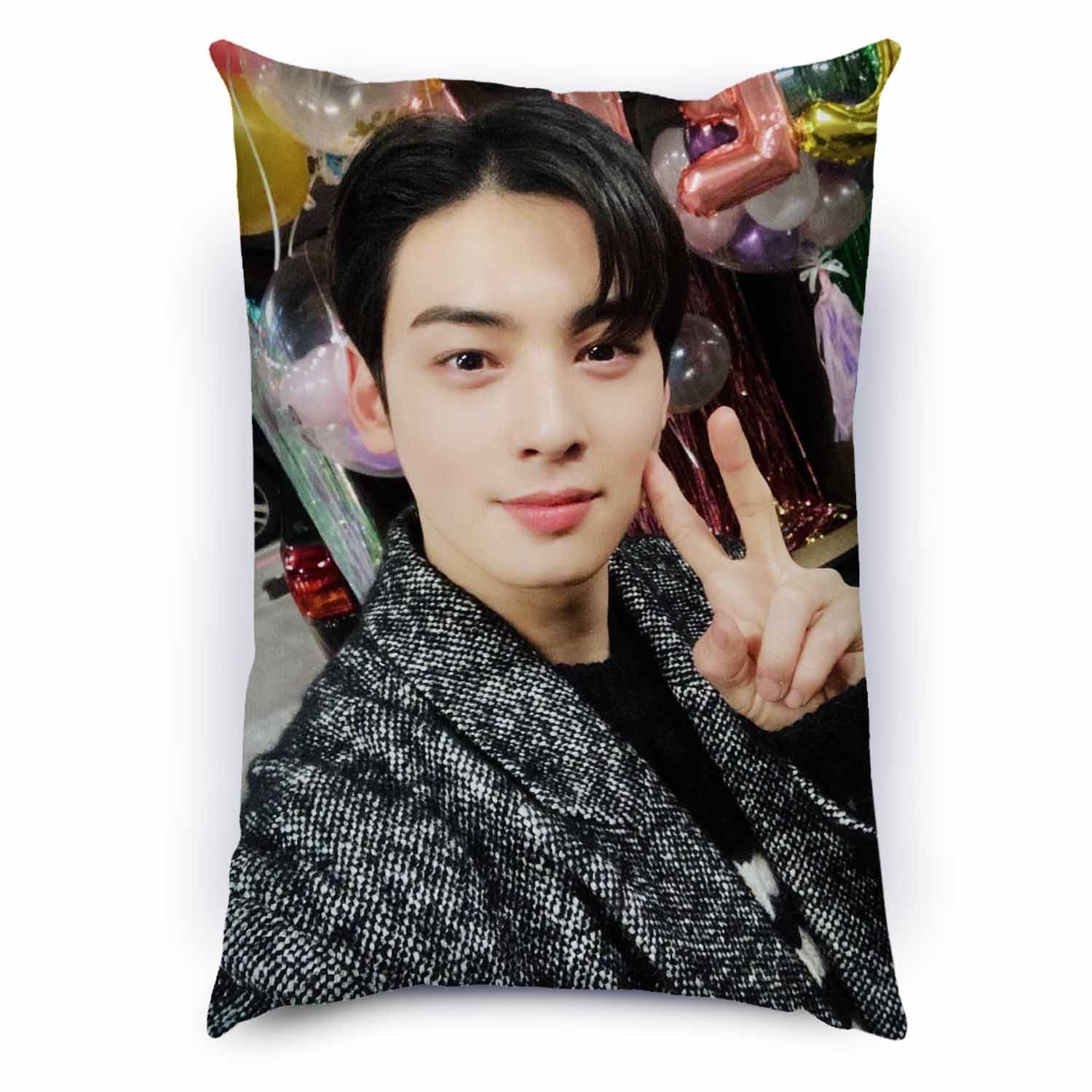 SUHO CHA EUN WOO PILLOW 13"x18" design 10 | Lazada PH
