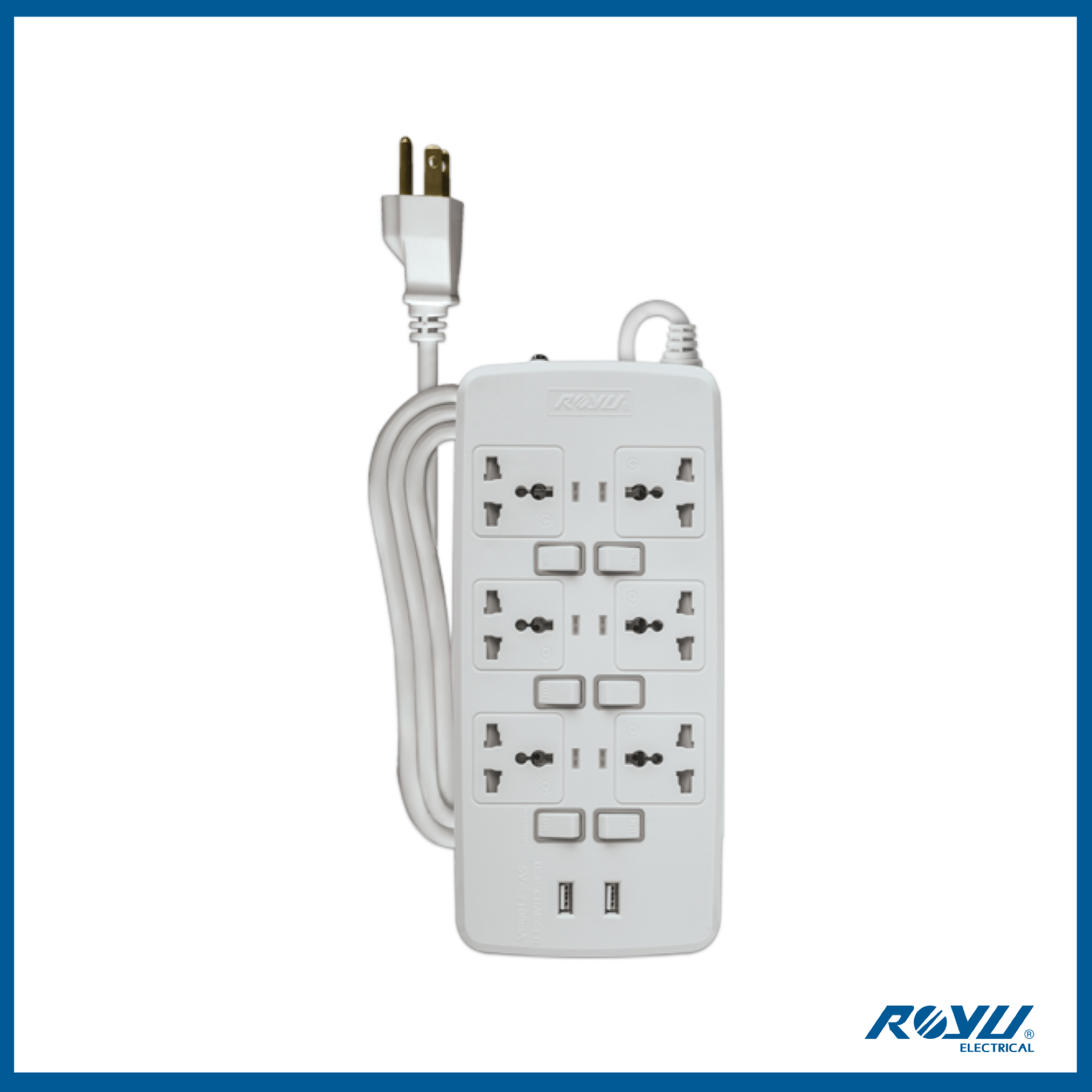 Royu 6 Gang Power Extension Cord with Individual Switches & 2 USB Port ...