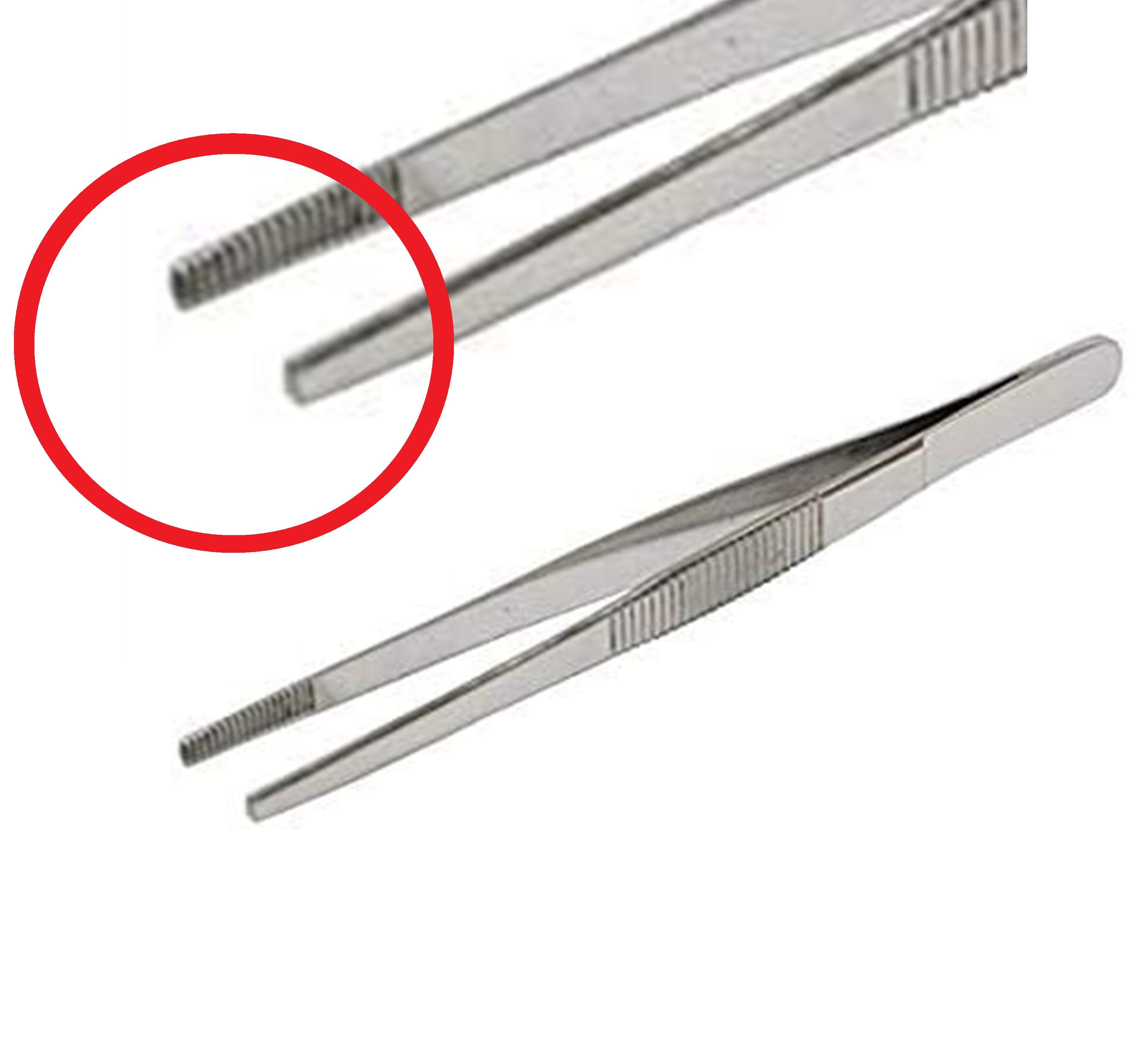 Dissecting Tissue Thumb Forceps Tweezers 5 12" PLAIN or with TOOTH ...
