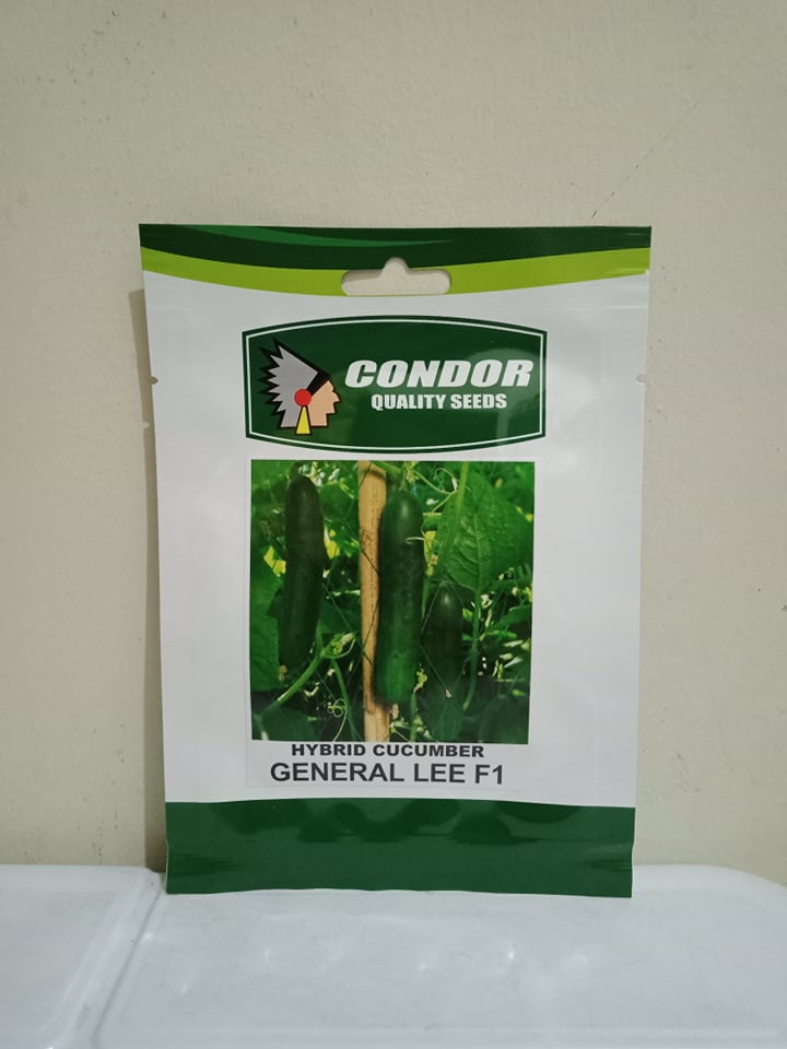 CONDOR Hybrid Cucumber General Lee F1 seeds POUCH | Lazada PH