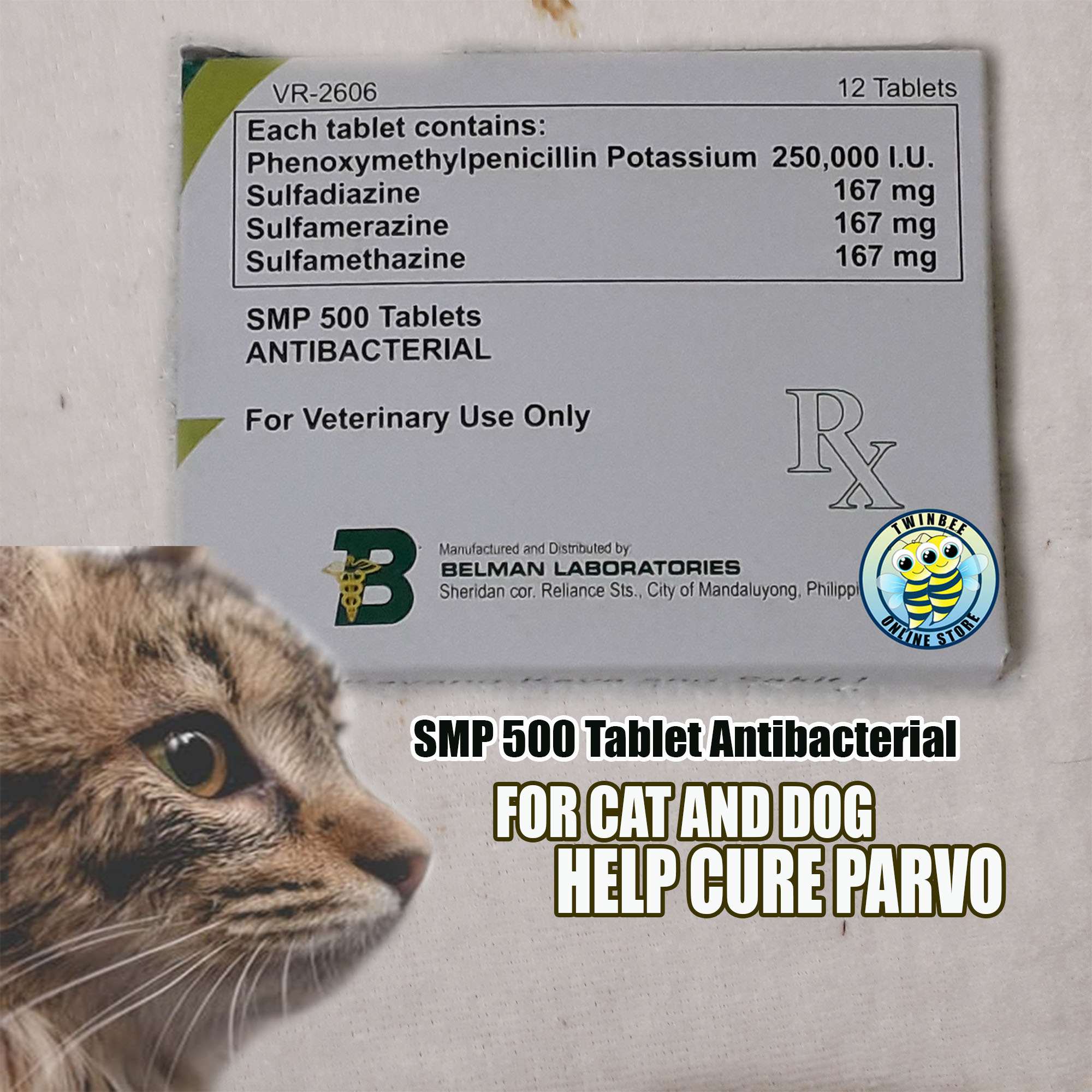 SMP 500 Tablet Antibacterial Parvo | Lazada PH