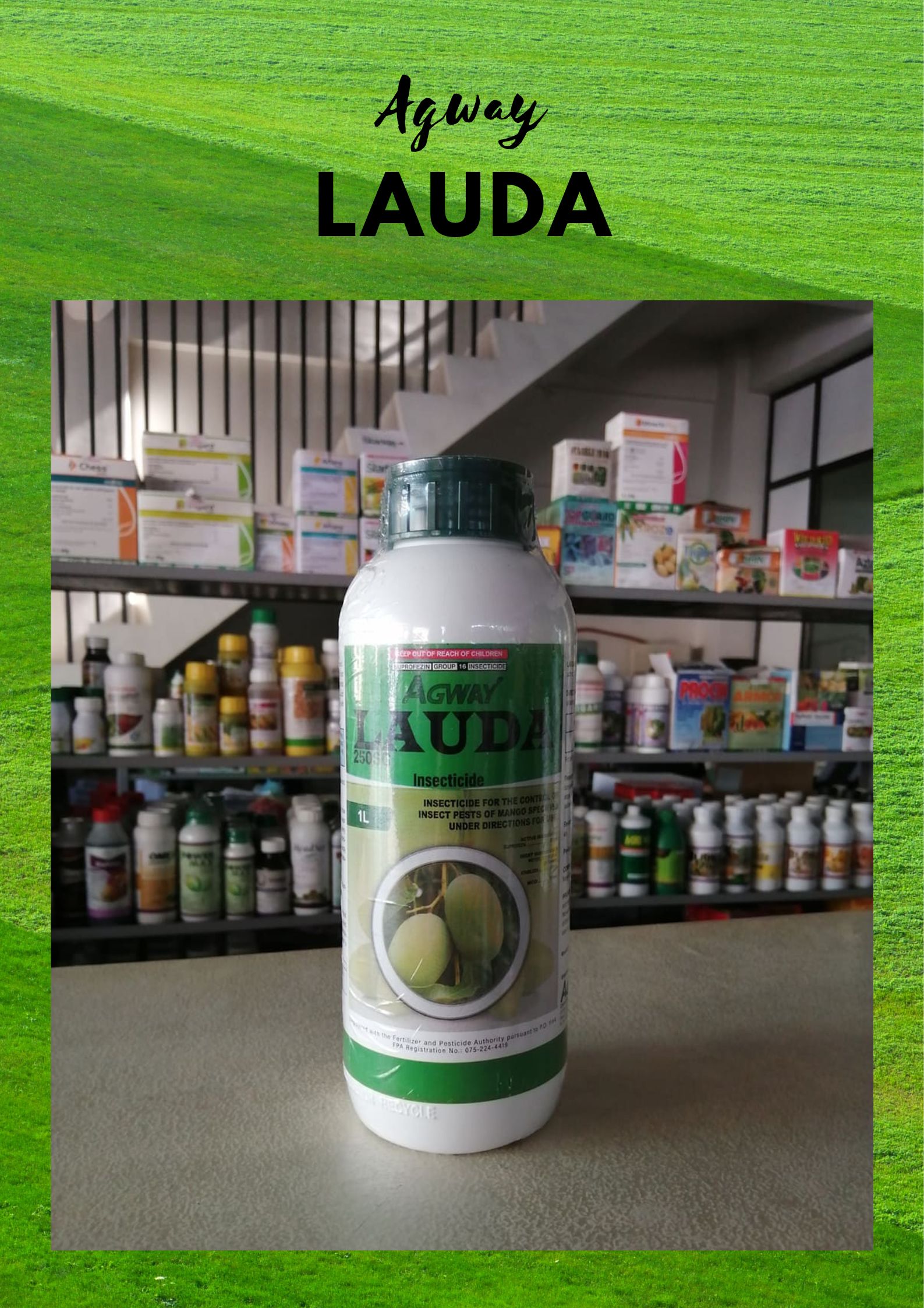 Agway LAUDA Insecticide Liter | Lazada PH