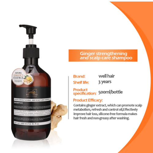 Natural Ginger's Essence Scalp care Shampoo & Conditioner, Sulfate Free ...