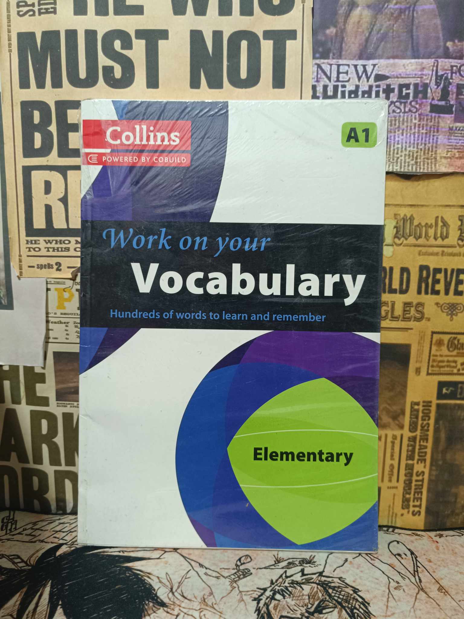 Work on Your Vocabulary - Elementary A1 by HarperCollins | Lazada PH