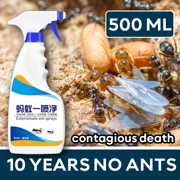 DSY 10 years NO ants termites killer spray 500 ml ant killer ants spray ...