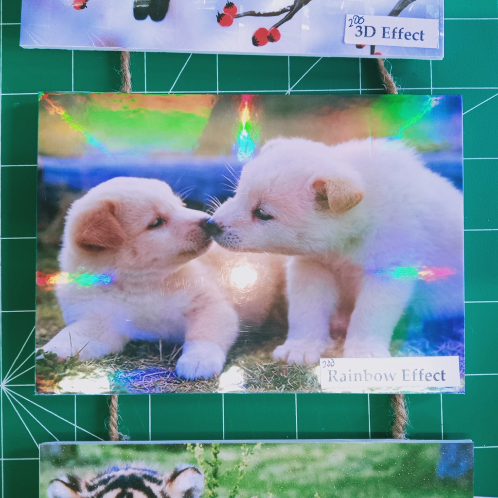 4pcs 4R Customized Wall Frame Sintra Board | Lazada PH