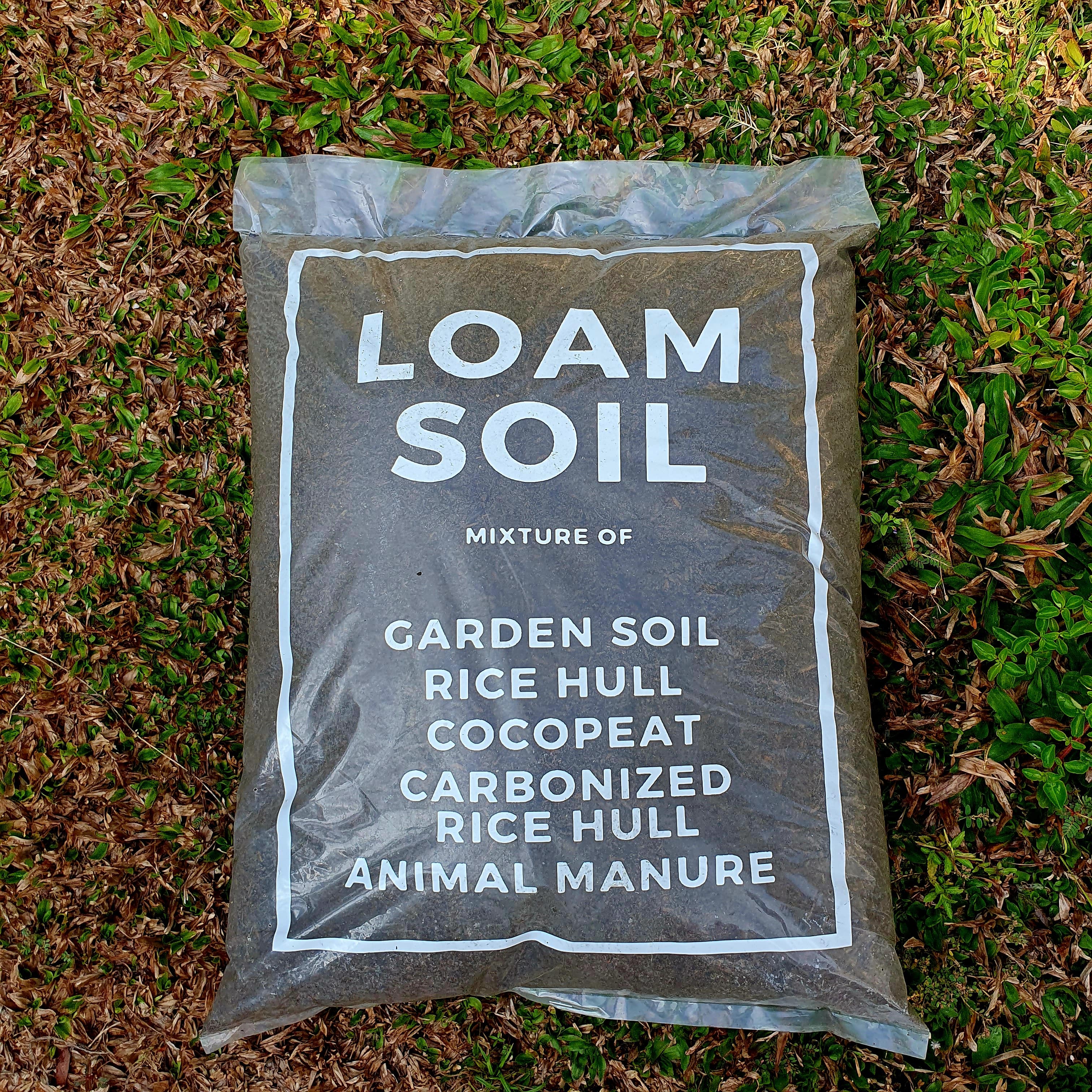Premium Loam Soil 8-10 kgs | Organic and High Quality | Garden Loam ...
