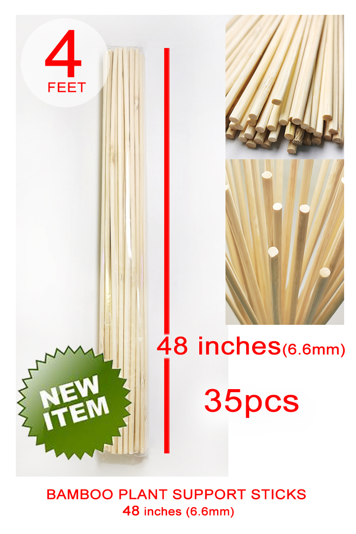 BAMBOO PLANT SUPPORT/GROW STICKS 4 FEET - 35 pcs, 6.6mm , PROUDLY PINOY ...