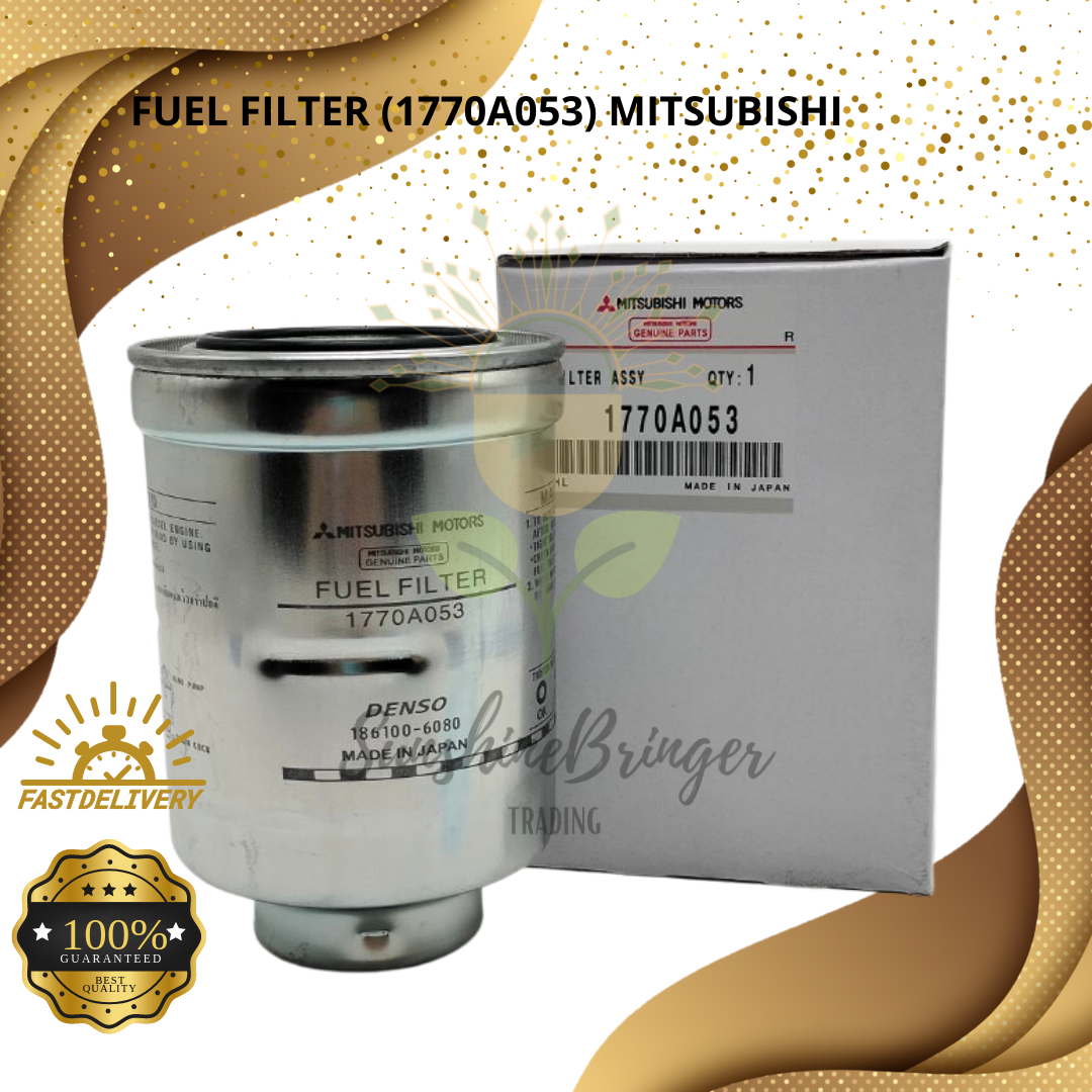 Fuel Filter (1770A053) Mitsubishi Montero/Strada (2008-2012 ...