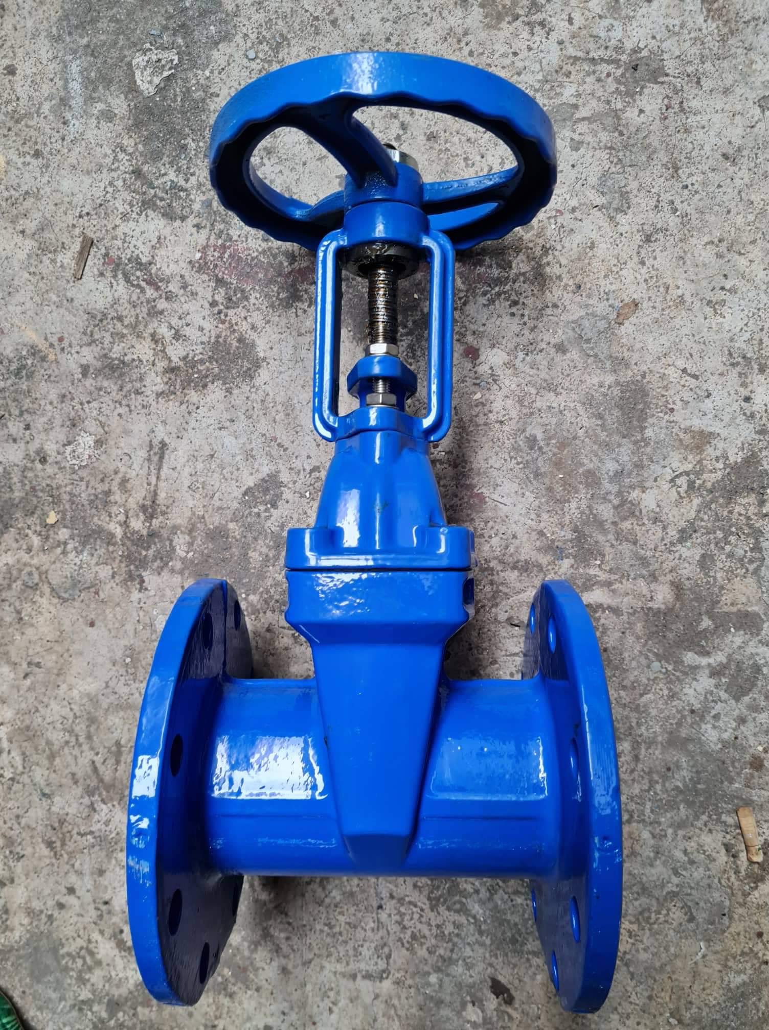 FIVALCO Rising Gate Valve Flange Type for water psi 200 | Lazada PH