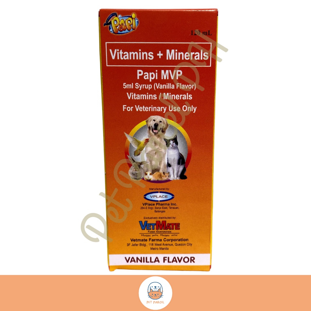 Papi MVP Syrup (FREE SYRINGE!) Multivitamins + Minerals for Dogs and ...