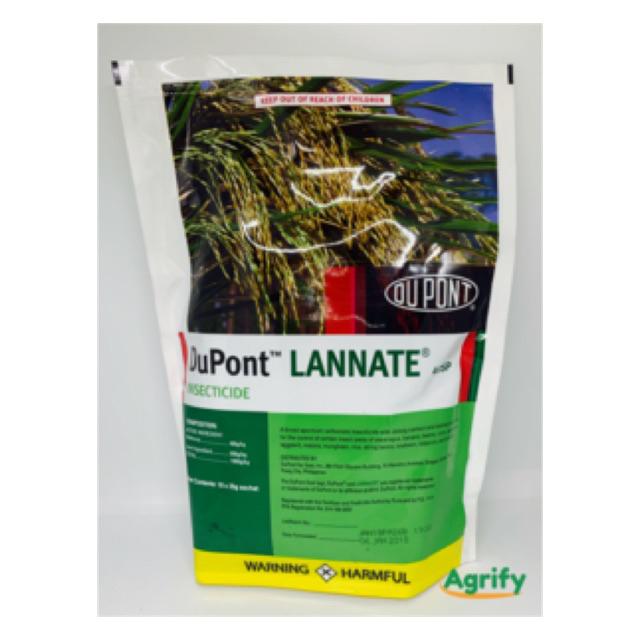 Dupont Lannate 100g 215g 425g | Lazada PH