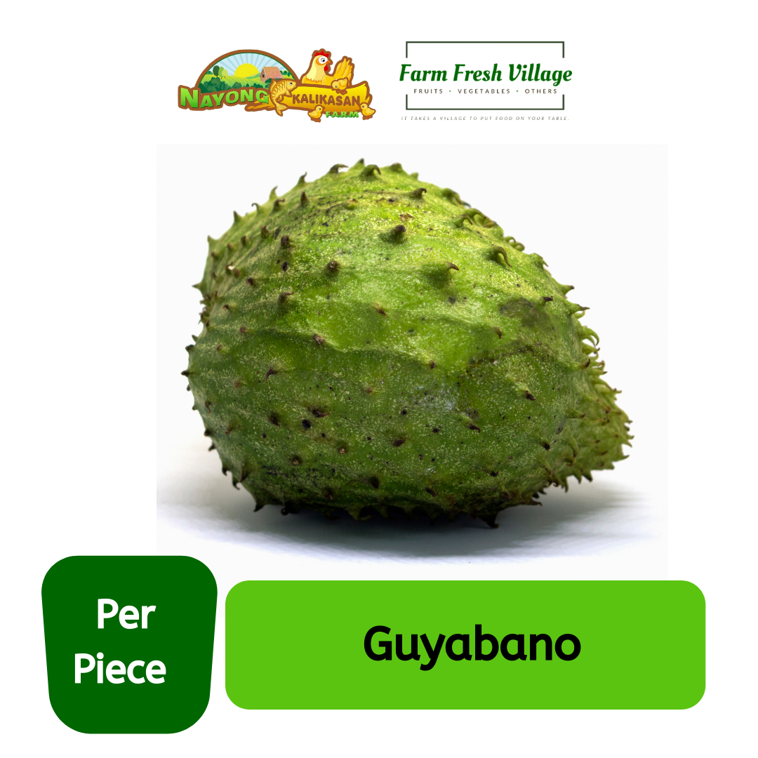 FARM FRESH VILLAGE Guyabano fruit per piece (1.2 - 1.5 kg) | Lazada PH