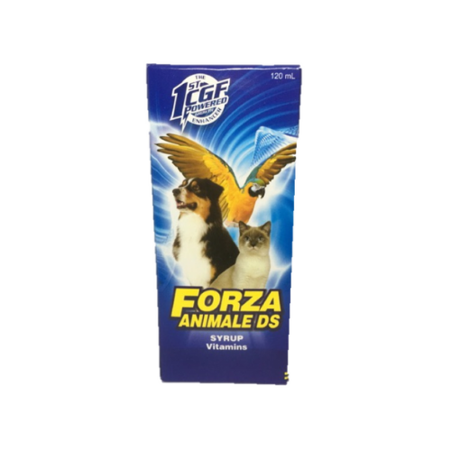 Forza Blue 120ml | Lazada PH