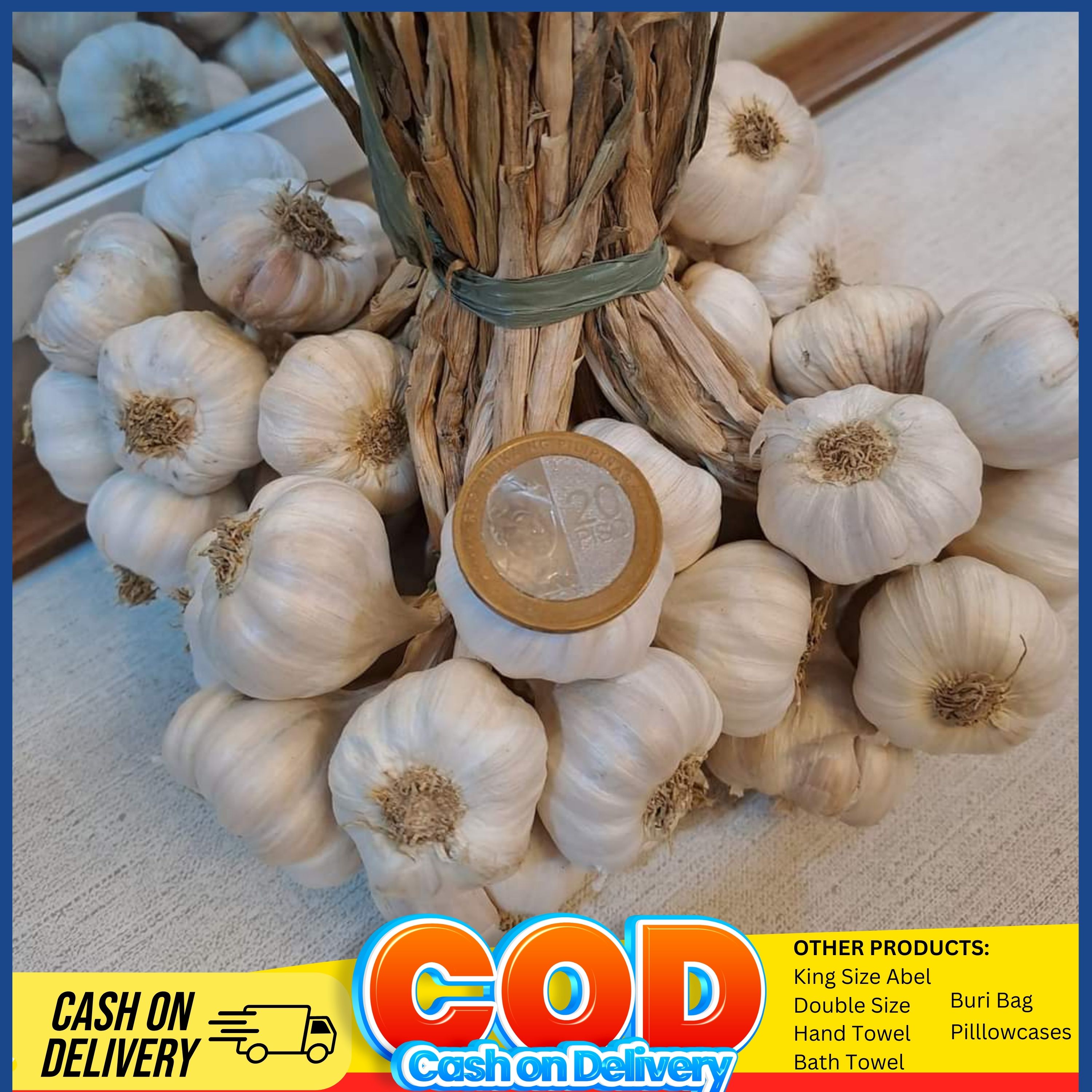 Native Ilocos Garlic Native Organic (BIG Size) Bawang Ilocos Garlic BIG ...