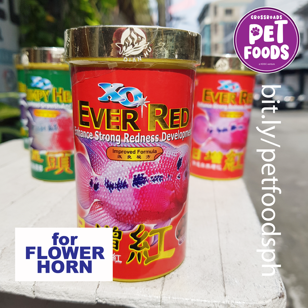 OCEAN FREE FLOWER HORN FISH FOOD • XO HUMPY HEAD and XO EVER RED • 100g • IMPROVED FORMULA ...