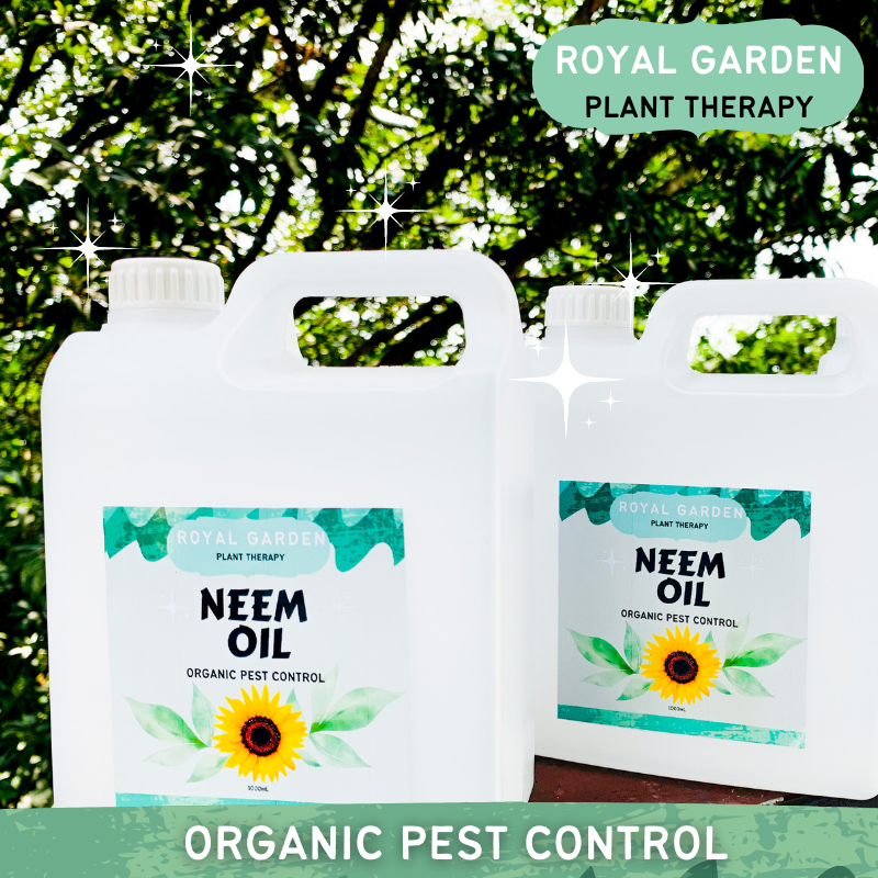 Neem oil plant spray [BUY 1 TAKE1]1000mL / 1 Liter REFILL ROYAL GARDEN ...
