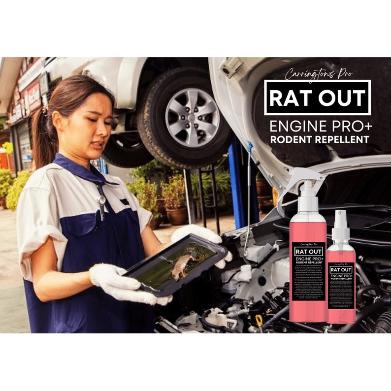 RAT OUT ENGINE PRO+ ENGINE & CAR RODENT REPELLENT | Lazada PH