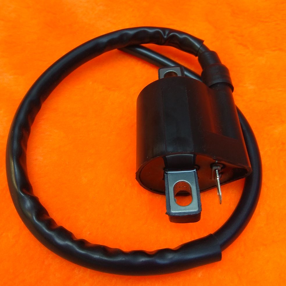 IGNITION COIL MIO | Lazada PH